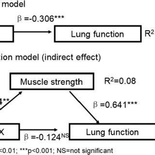 The Structural Model Of Sex On The Relationships Between Pulmonary Download Scientific Diagram
