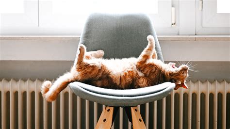 Красноярцам рассказали о расчете платы за отопление