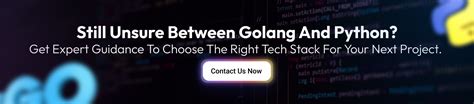 Golang Vs Python Best Programming Language You Can Choose In 2025