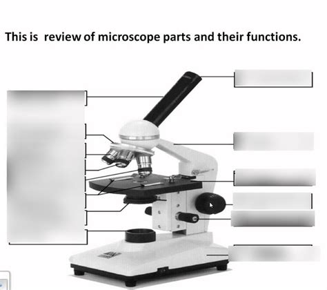Microscope Quiz Diagram Quizlet