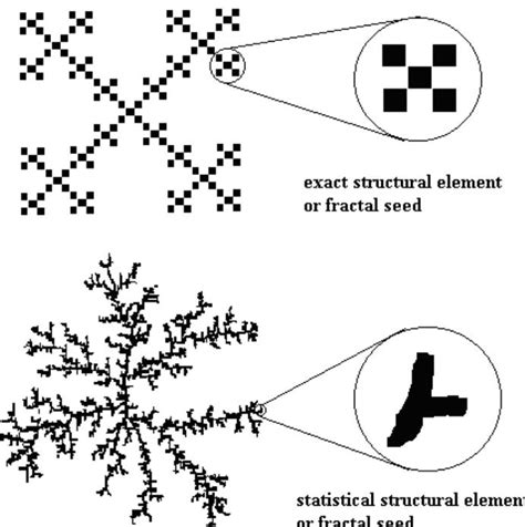 Example Of Branching Fractals Showing The Structural