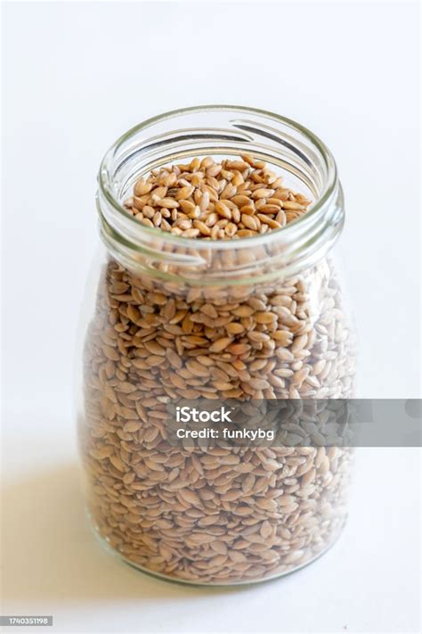 깨끗한 흰색 배경에 유리병에 깔끔하게 보관된 스펠트 곡물은 식품 저장을 보여줍니다 건강한 식생활에 대한 스톡 사진 및 기타 이미지 건강한 식생활 건조 식품 곡물