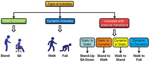Different Types Of Human Activities Download Scientific Diagram
