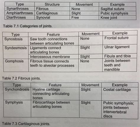 Types Of Synovial Joints Table