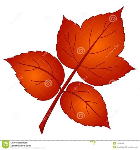 Leaf Of Raspberry Stock Vector Illustration Of Environmental 17454754