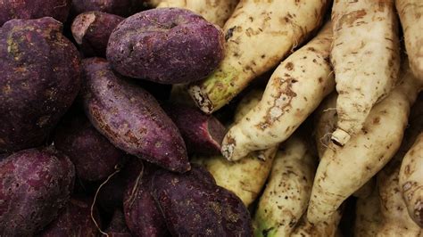 Cara Menanam Ubi Jalar Agar Berbuah Lebat Berikut Panduan Lengkap