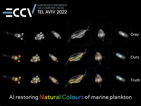 Ai Plankton ∣ 爱浮游