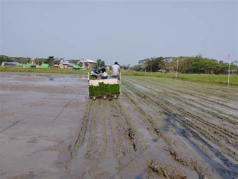 မအူပင်မြို့တွင် ကောက်စိုက်စက်ဖြင့် နွေစပါးစိုက်ပျိုးခြင်း သရုပ်ပြပွဲဆောင်ရွက် Myanmarnationalpost