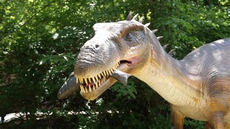 Baryonyx Dinosaur Model Wild Species Prehistoric Stock Footage Video