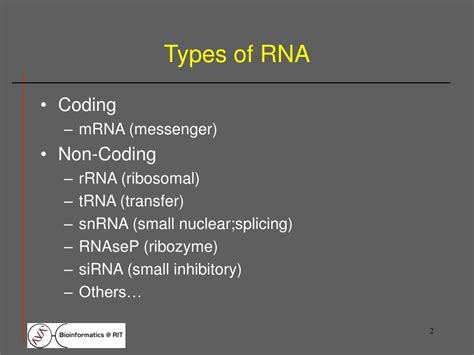 PPT RNA Bioinformatics Genes And Secondary Structure PowerPoint Presentation ID