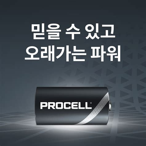 프로셀 D 건전지 알카라인 건전지
