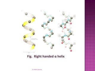 Protein Structure Pdf