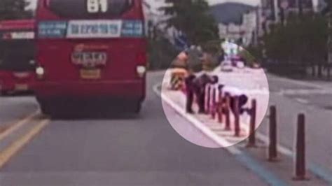 더쿠 도로 위 피흘리던 무단횡단 女 버스기사가 발바닥 주물러 살렸다