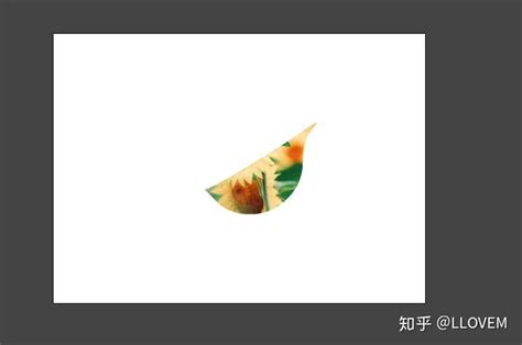 flash如何使用动画形式之遮罩层动画 知乎