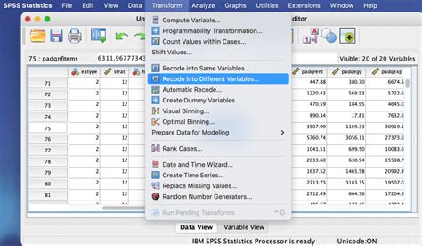 SPSS Tutorial Data Manipulation In SPSS Resourceful Scholars Hub