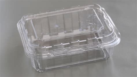 Plastic Fruit Containers