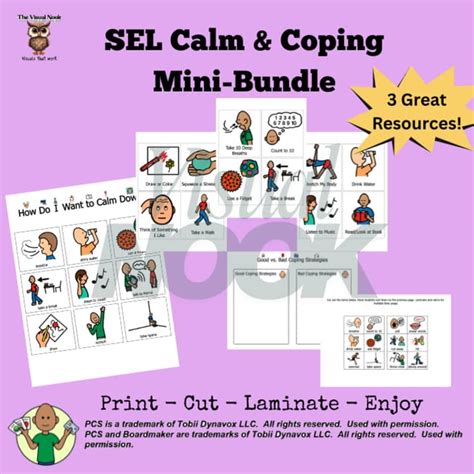 Sel Calm And Coping Mini Bundle 3 Emotional Regulation Visuals For