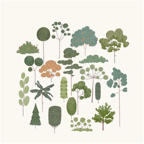 Show It Better Conceptual Trees Elevation In 2024 Conceptual