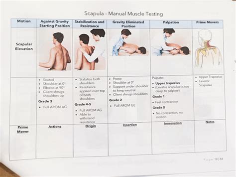 Mmt Flashcards Quizlet