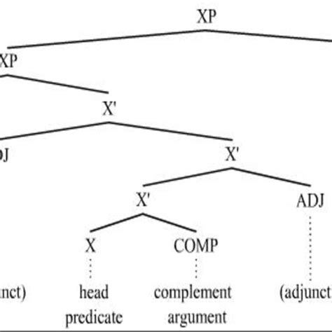 Basic X Bar Structure Download Scientific Diagram
