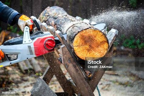 나무 외과 의사 남자 또는 전기 전기 톱을 사용하여 나무를 자르는 나무꾼 스톡 사진 전기톱에 대한 스톡 사진 및 기타 이미지 전기톱 사슬 자르기 Istock