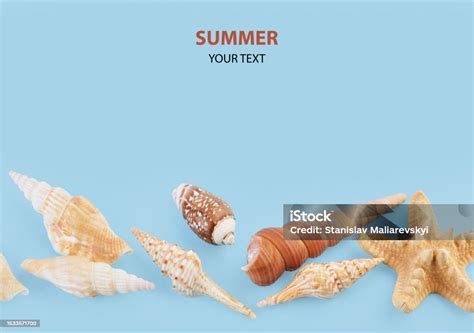 조개껍데기와 불가사리가 파란 배경에 있다 텍스트를 위한 장소가 있는 여름 배경입니다 바다 테마입니다 가리비에 대한 스톡 사진 및 기타 이미지 Istock