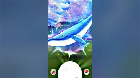 🤩got This Shiny Whale 🐋 In Pokemon Go Shundo Highcppokemon Rareshiny