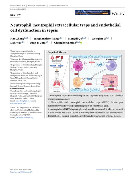 Pdf Neutrophil Neutrophil Extracellular Traps And Endothelial Cell Dysfunction In Sepsis