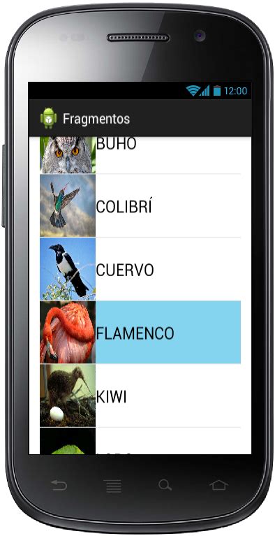 Fragments Fragmentos En Android Jarroba