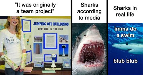 Science Life Memes Virus Of The Mind The New Science Of The Meme