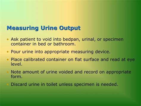Ppt Understanding Urinary Elimination Process Powerpoint Presentation
