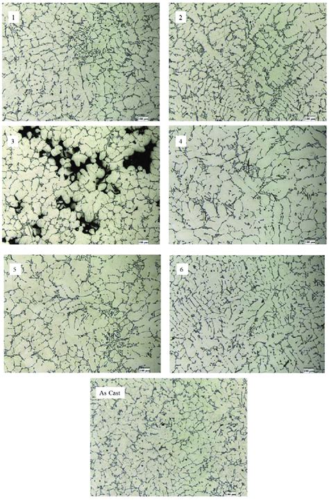 Optical Microstructures Of 356 Alloy 1—after Vibration By 100 Hz Download Scientific Diagram