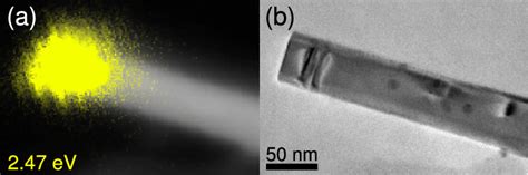 Color Online A Superposition Of Sem And False Color Monochromatic Download Scientific
