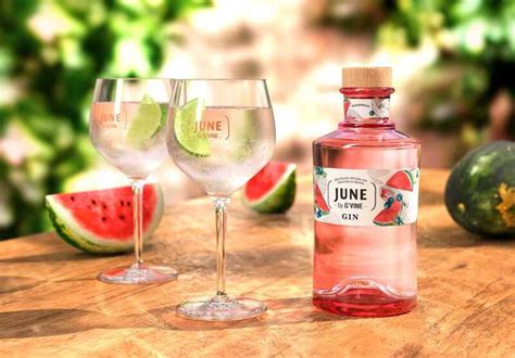 Gvine Extends June Range With Launch Of New Watermelon Variant Food And Drink Technology