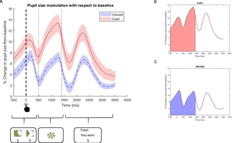 Figure 3 From Win Concurrent Sensory Cues Can Bias Decision Making