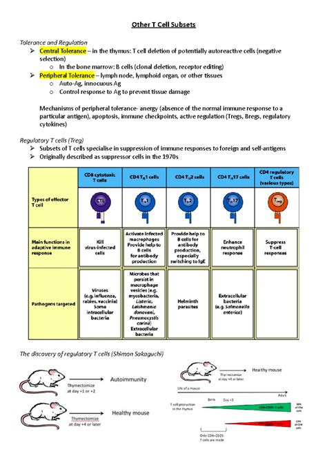 Other T Cell Subsets Other T Cell Subsets Tolerance And Regulation Central Tolerance In The