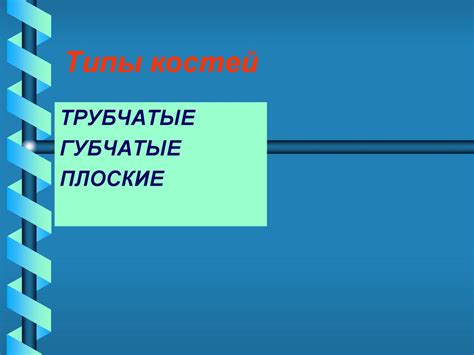 Подготовка к проверочной работе по теме «Опорно двигательная система презентация онлайн