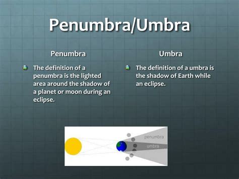 Ppt Science Vocabulary Powerpoint Presentation Free Download Id