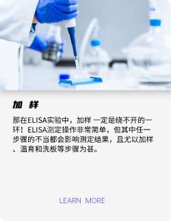 小鼠卵清蛋白特异性IgE OVA sIgE ELISA检测试剂盒定量 江莱生物官网