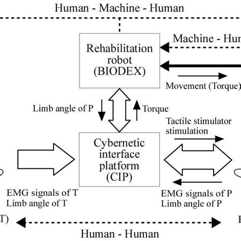 Detailed Block Diagram Of The Cip Download Scientific Diagram