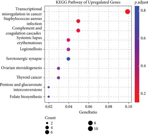 Go Biological Processes And Kegg Pathways Of The Intersectional Genes Download Scientific
