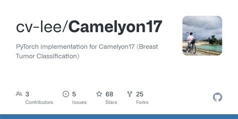 Github Cv Lee Camelyon Pytorch Implementation For Camelyon