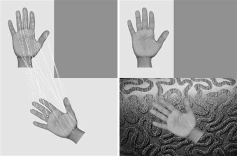 Figure 1 1 From Detecting Curved Objects Against Cluttered Backgrounds