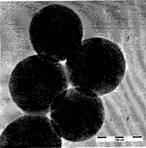 Sio2au Nano Material With Nucleocapsid Structure Biological Protein