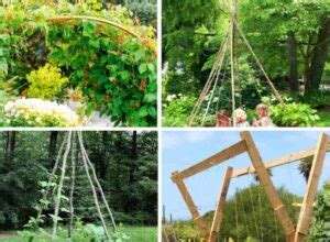 21 Beautiful DIY Garden Trellis Ideas For Your Backyard
