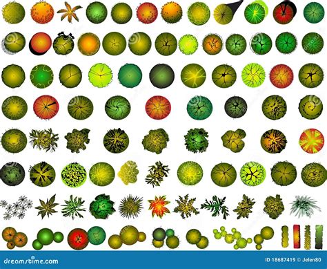 Set Of Treetop Symbols For Architectural Or Landscape Design Cartoon Vector CartoonDealer Com