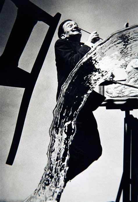 Philippe Halsman Dali Atomicus At 1stdibs