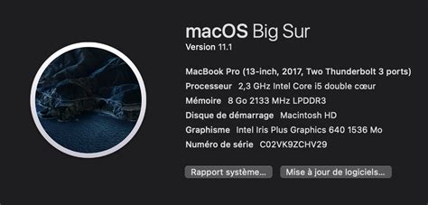 Unable To Install Any Ruby Versions On MacOs Big Sur Issue 1706