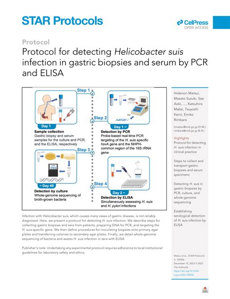 Pdf Protocol For Detecting Helicobacter Suis Infection In Gastric Biopsies And Serum By Pcr