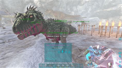 First Mutation R Ark